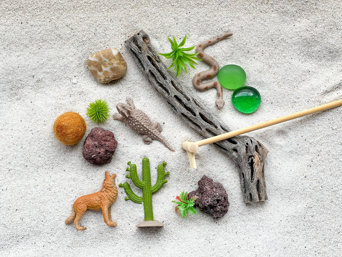 Desert Dwellers Sensory Kit – Why I Love Where I Live