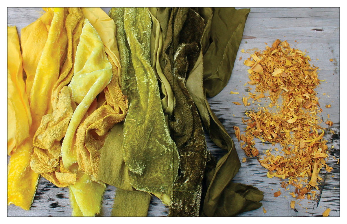 Natural Palettes: Inspiration from Plant-Based Color – Why I Love Where ...